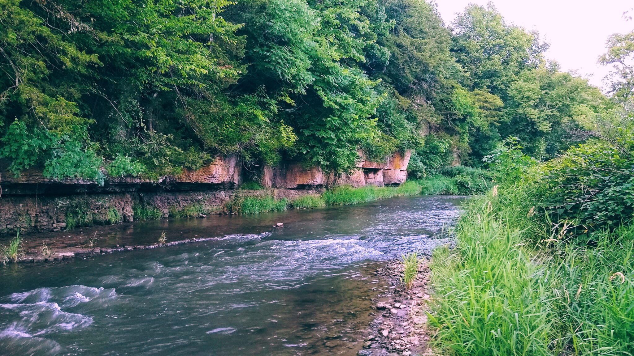 River Along Tree-Covered Cliff - Unrecompensed